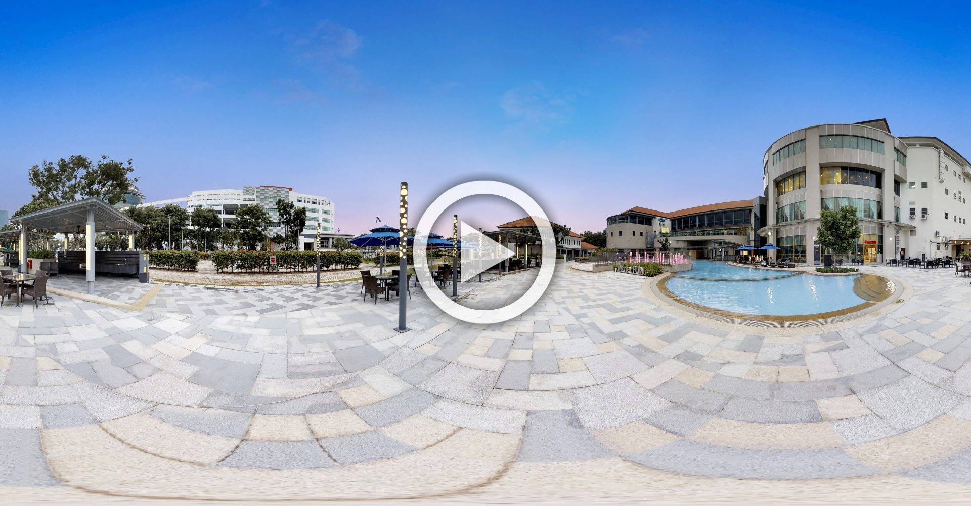 THE CHEVRONS – Swimming Pool